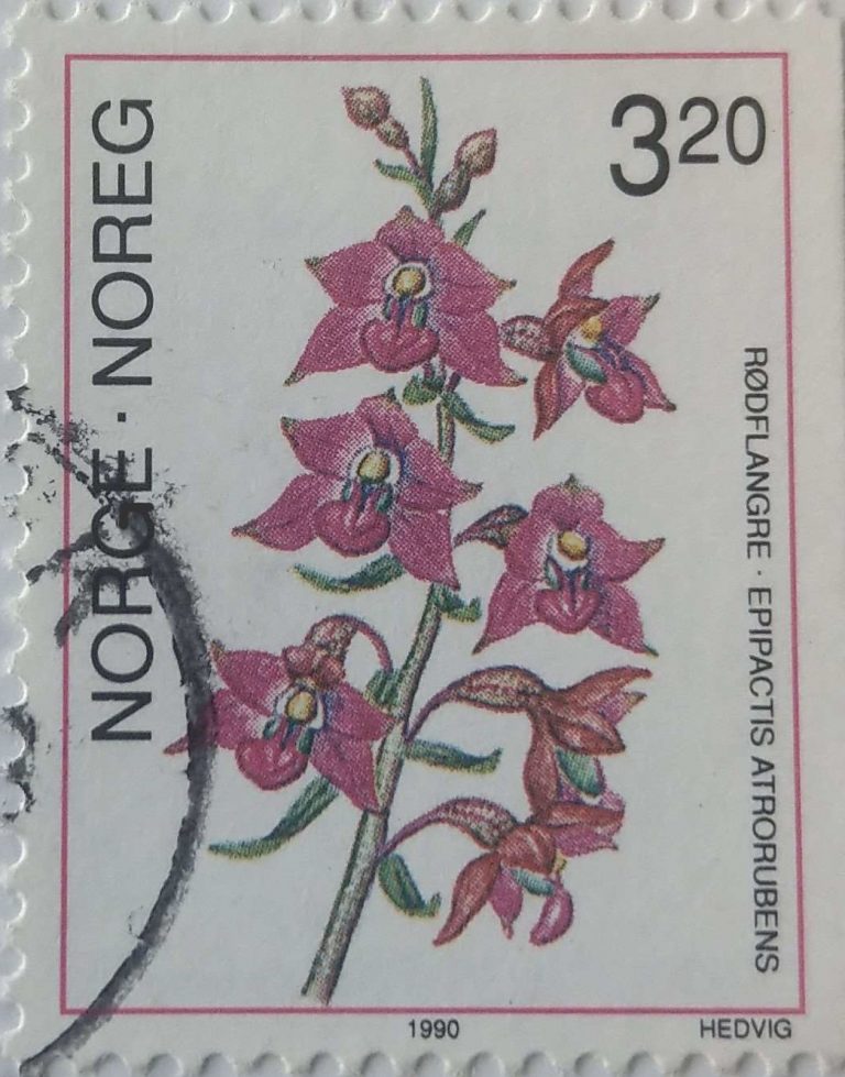 Bokmål, Nynorsk - The norwegian language conflict | norwegian.online